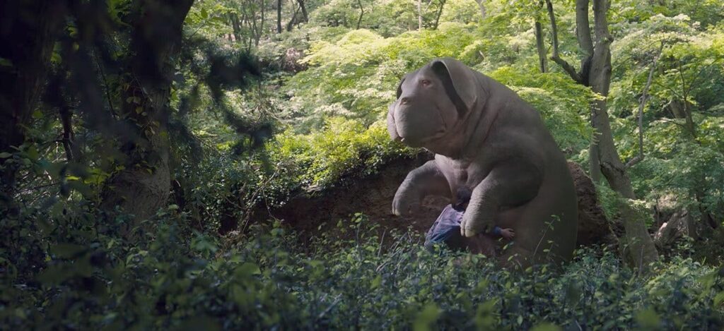 Okja, the Pig of Life - MaG